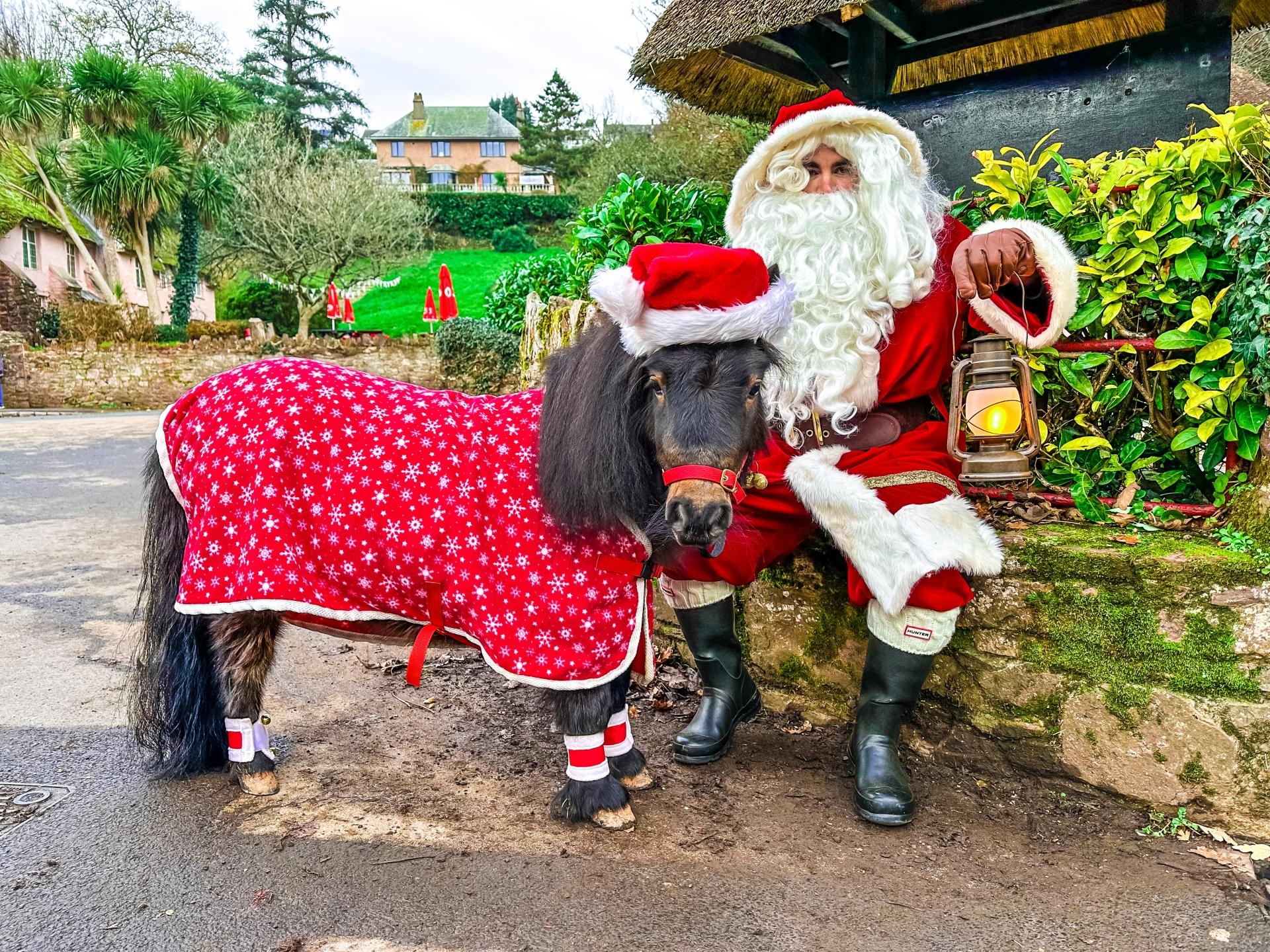 patrick the shetland