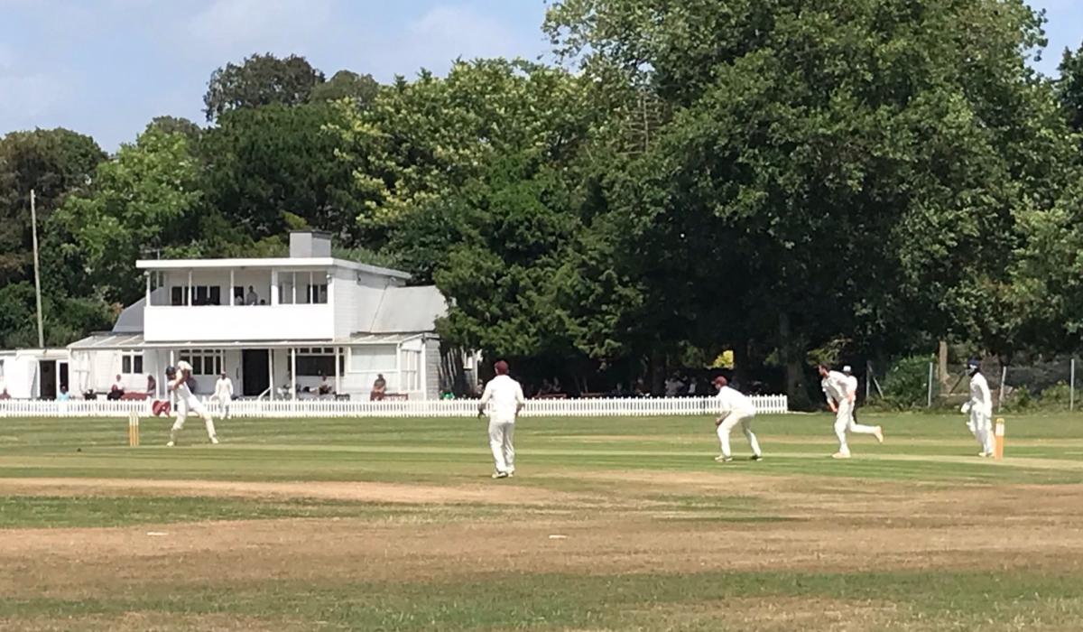 Inconsistency rules as we reach cricket season’s halfway point - Torbay ...