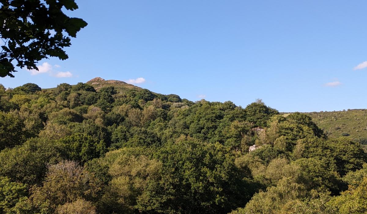 Storyteller: The mysterious tale of Jan Coo and the Cry of the Dart ...