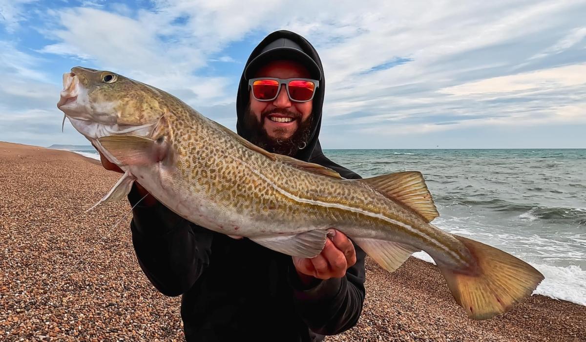 Cod turning up on Chesil with the summer species - Photo 1 of 6 ...