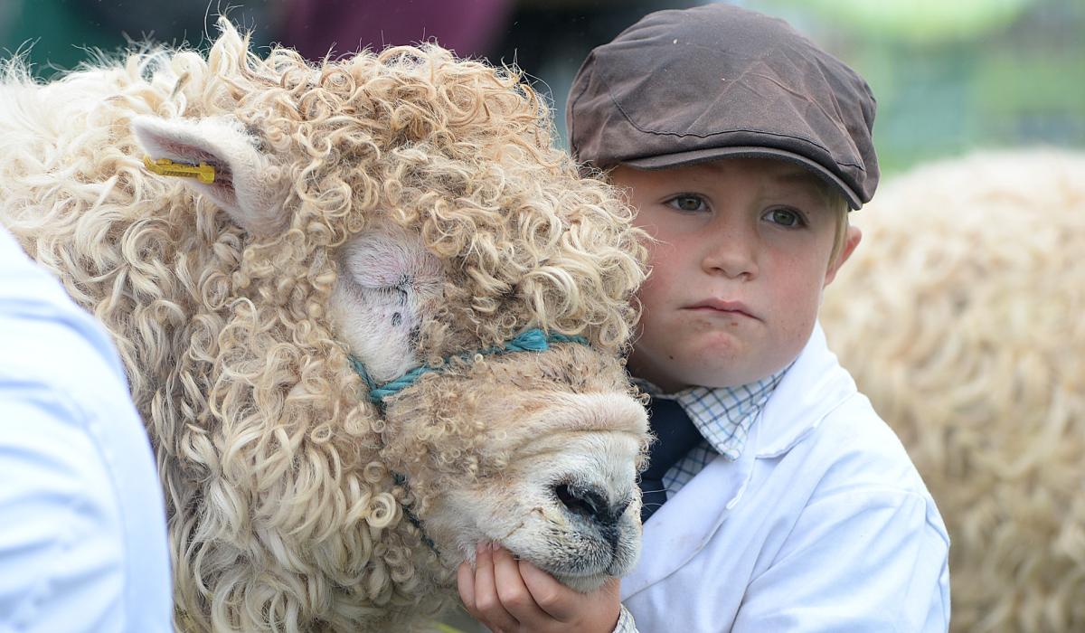Summer fun in the Bay and South Devon in pictures: Totnes Show - Photo ...