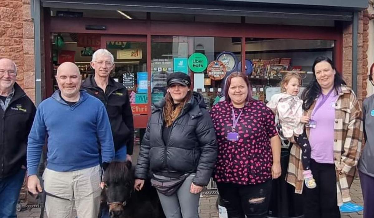 The rise to stardom of Patrick the pony - Torbay Today