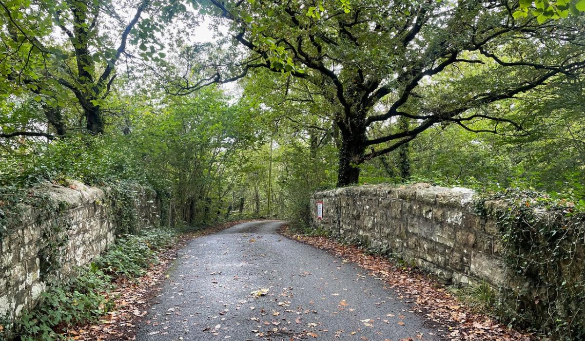 A trip to Lockbridge Tea Gardens - Photo 1 of 9 - Torbay Today