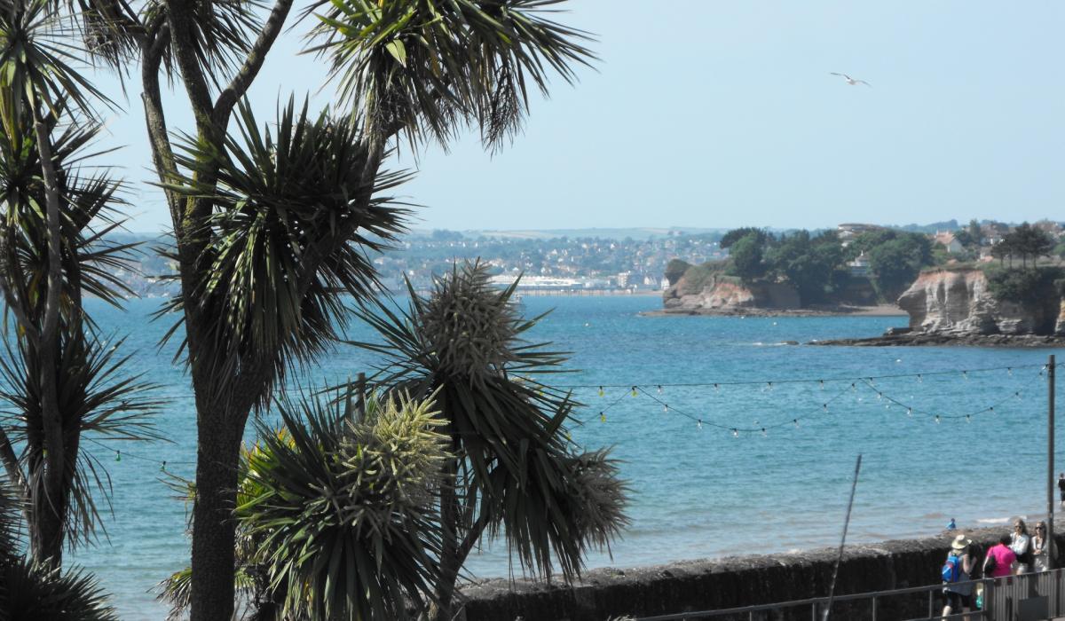Paignton Zoo trust joins partnership to protect English Riviera UNESCO ...