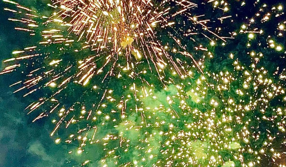 A combination of Naturally Inspiring Fireworks and Flowers - Photo 1 of ...