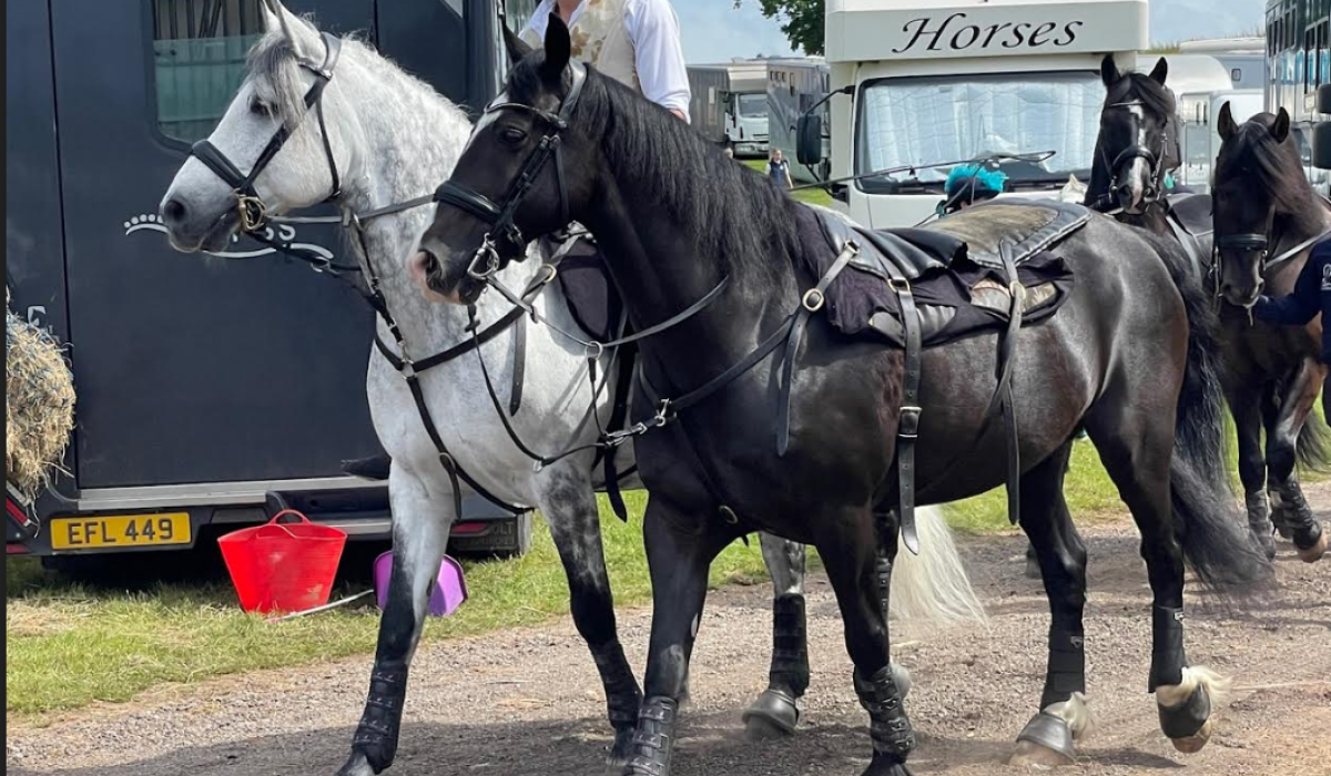 A naturally inspiring tour of the Devon County Show with photographer Stephen Coombes - Photo 1 ...