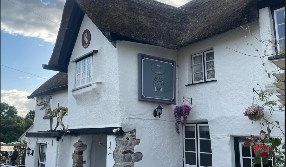 A photo essay of a naturally inspiring weekend - Photo 1 of 4 - Torbay ...