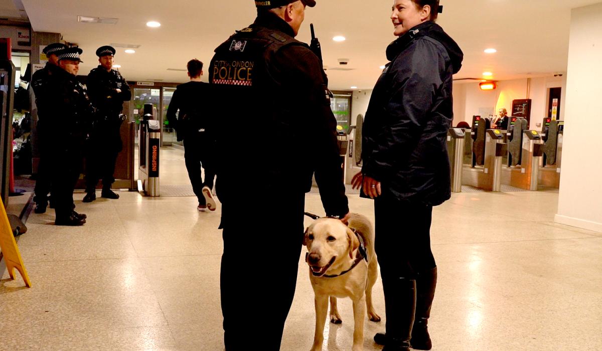 Alison Hernandez: Action on drugs is a top priority - Torbay Today