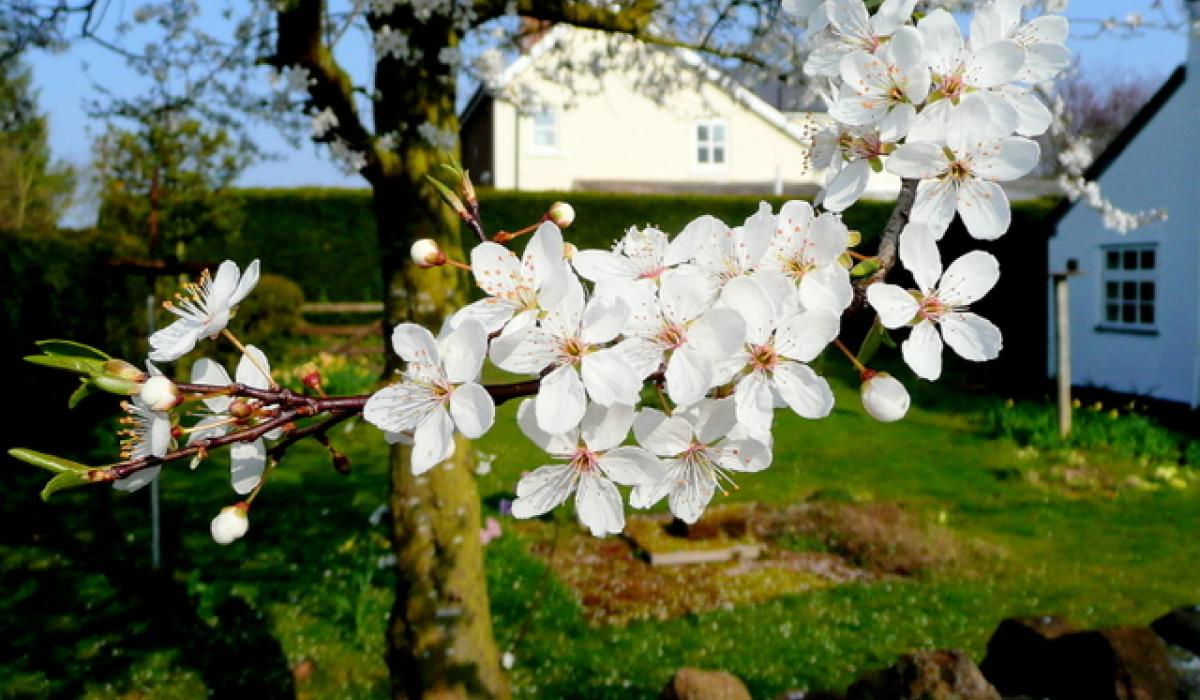 Pat Duke: Cutting remarks well worth acting upon - Torbay Today