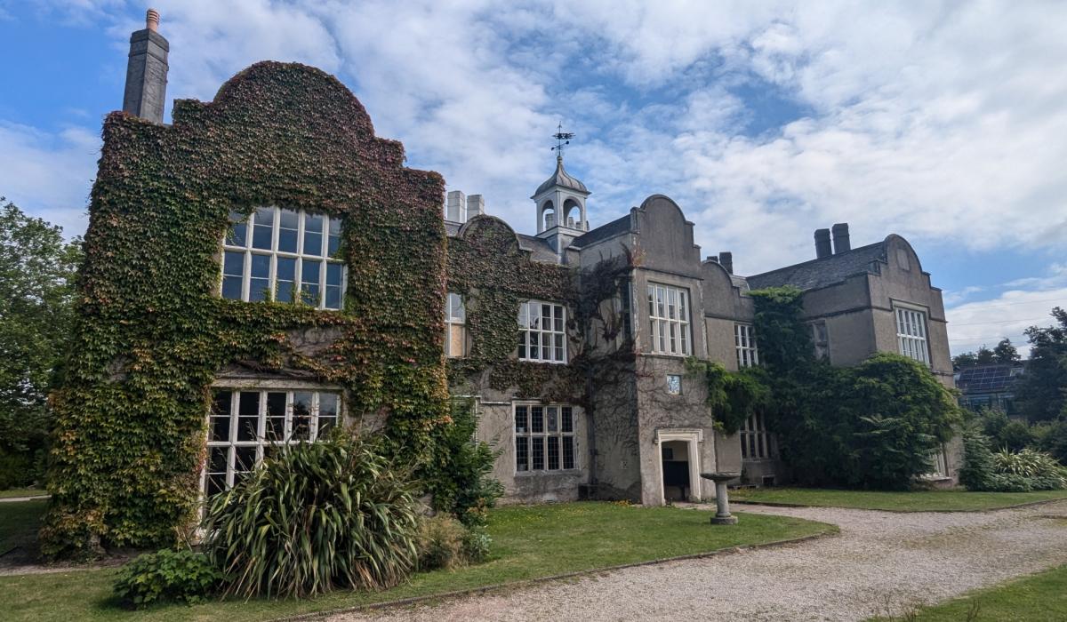 The Storyteller: An unexpected journey with psychic medium Debbie ...