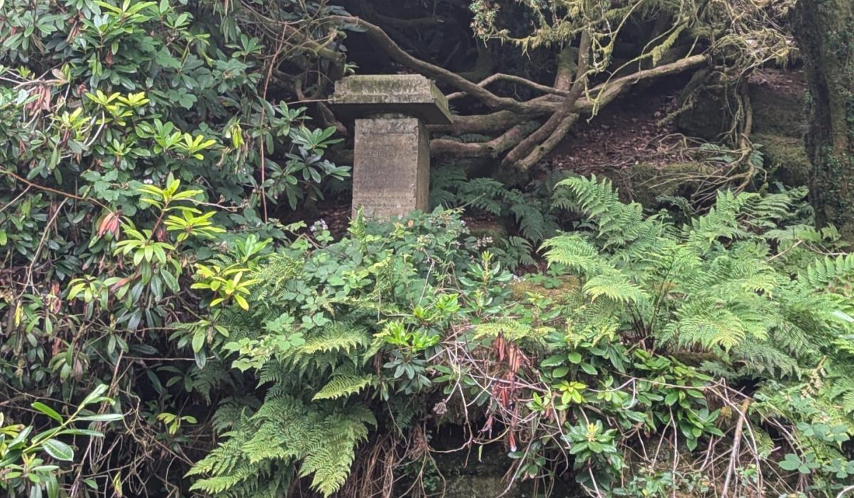 The Storyteller: My challenging walk to discover the Hunter's Stone and ...