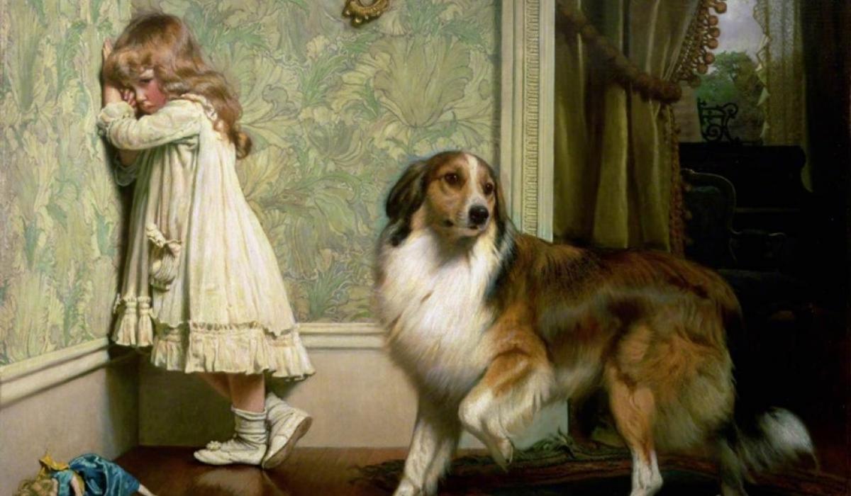 Kevin Dixon: Do good dogs go to heaven? - Torbay Today