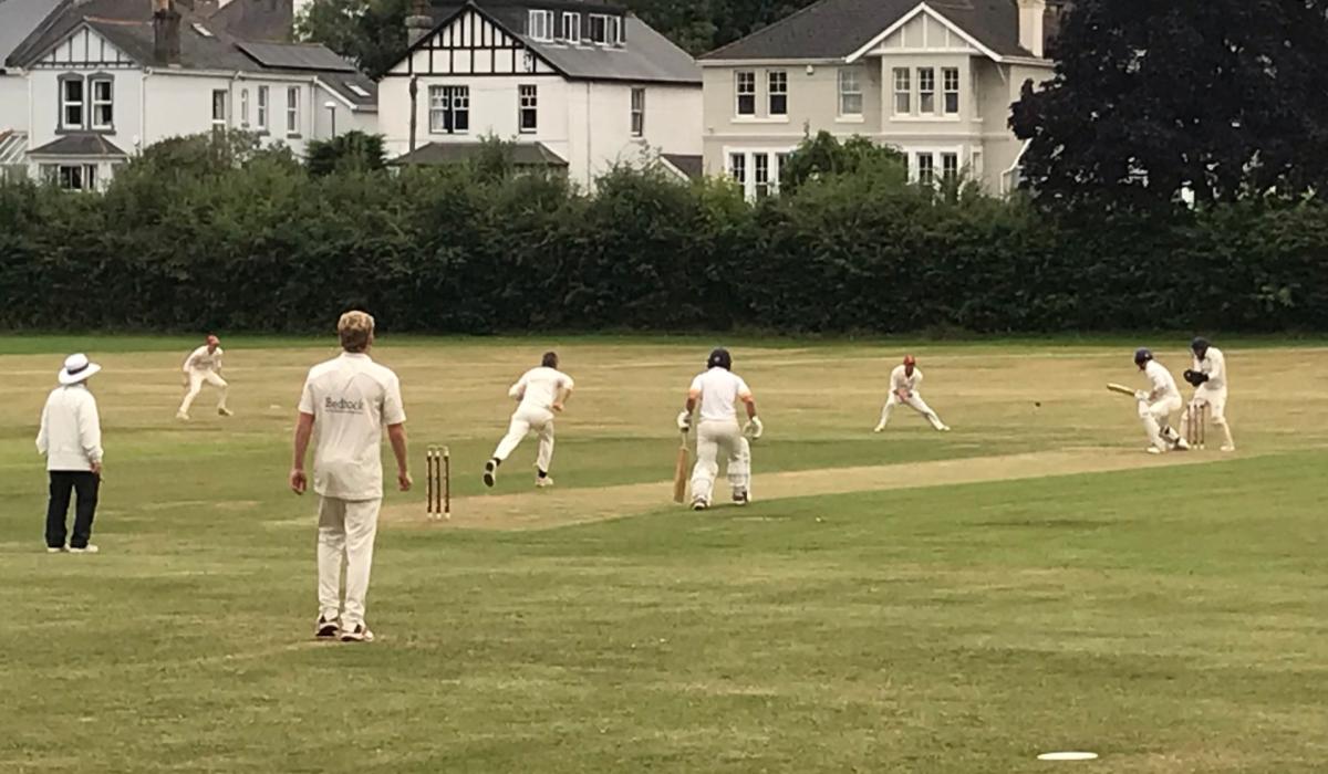 The South Devon story from the 2024 cricket season - Torbay Today