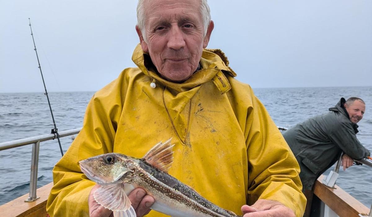 Fab fish at the Torbay Festival - Torbay Today