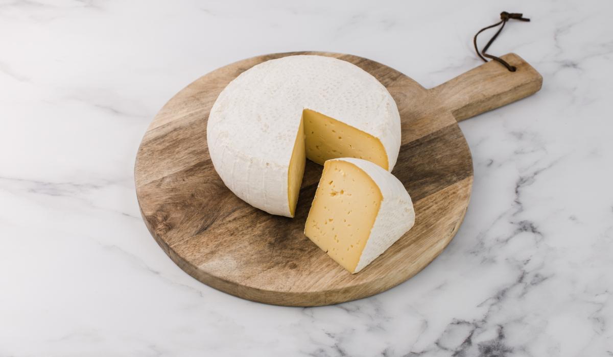 Totnes boasts new champion cheese - Torbay Today