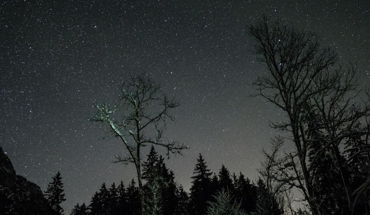 asteroid eunomia astrology