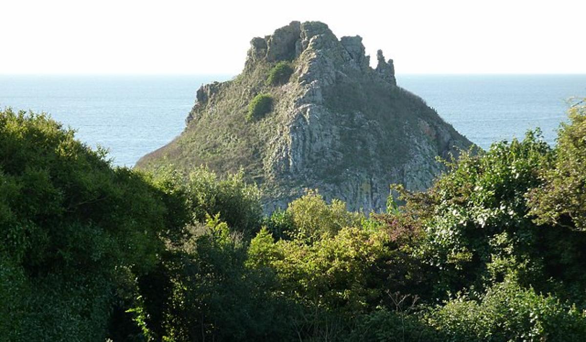 What the Torbay Weekly readers are saying - Torbay Today