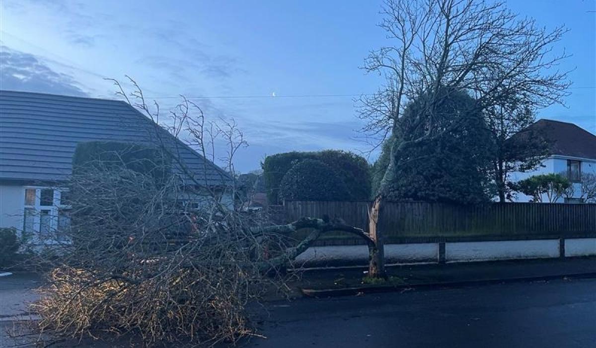 Storm chaos hits Torbay with flooding and fallen trees - Torbay Today