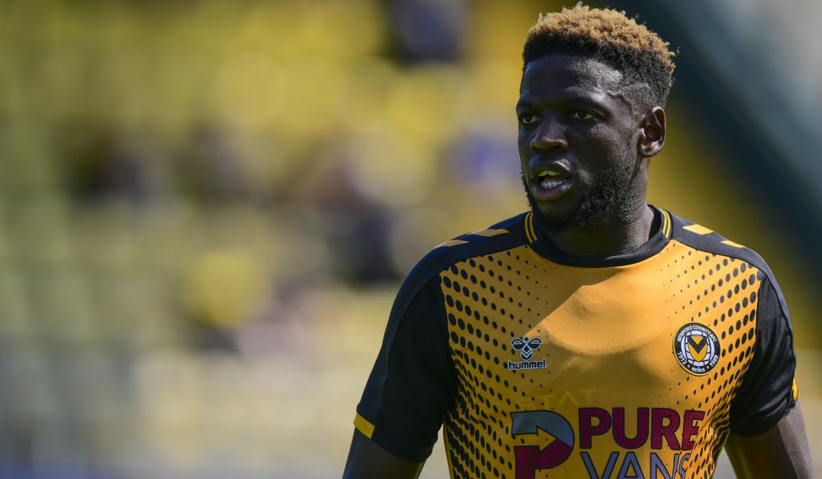 Torquay United sign new striker - Torbay Today