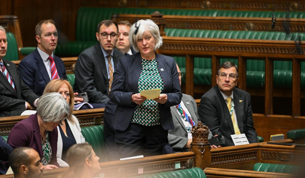 Caroline Voaden: the 'staggering statistics' about harms of social ...