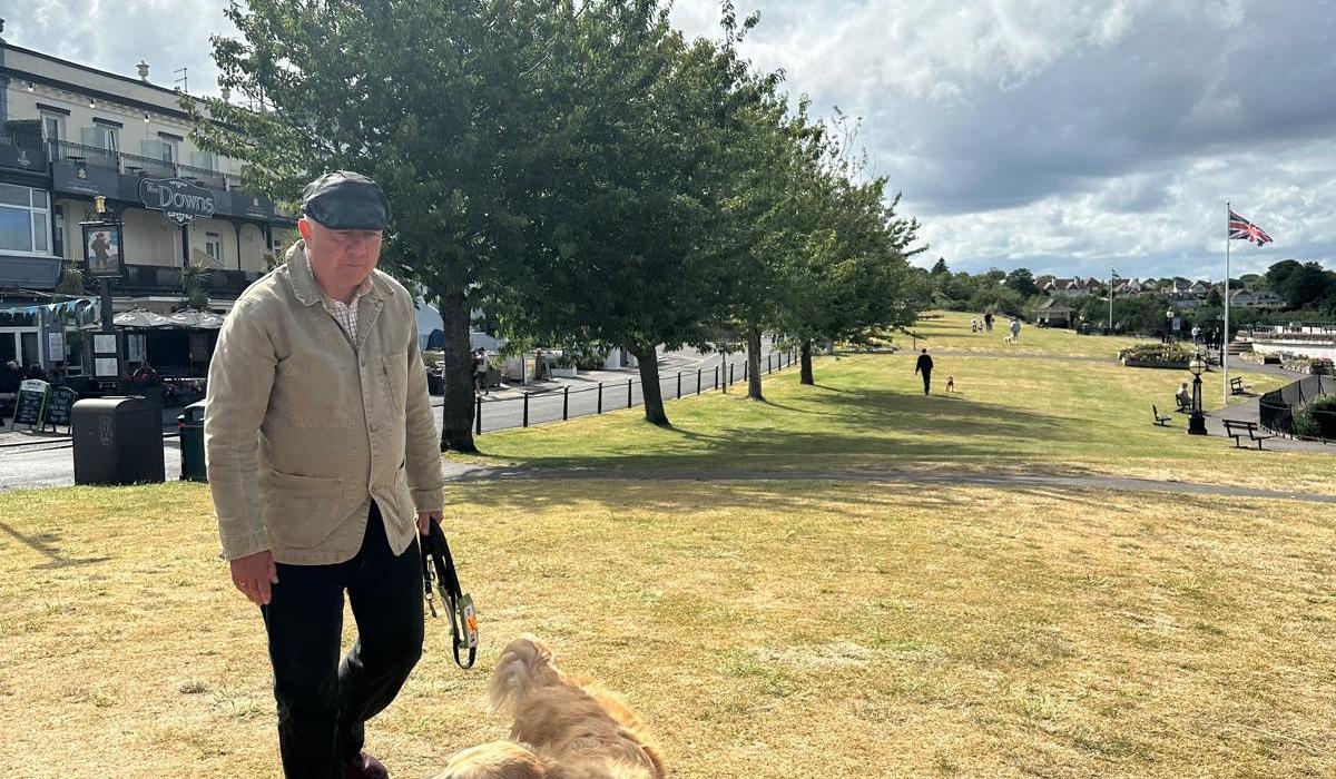 MP Darling to continue dual role as Bay councillor - but he's giving ...