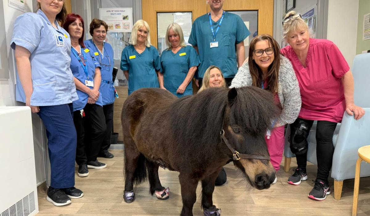 Patrick to be a special guest at Torbay Business Awards - Torbay Today