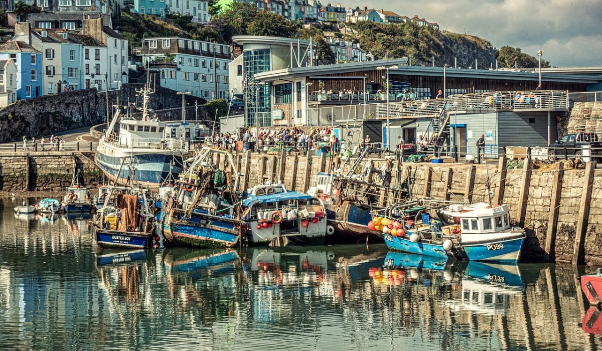 Steve Darling: Ensuring our industries get the support they need ...