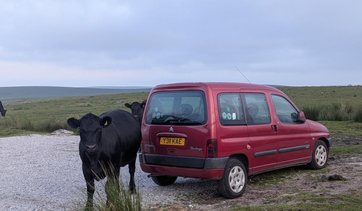 The Storyteller: Tales from the great Grimpen Mire - Torbay Today