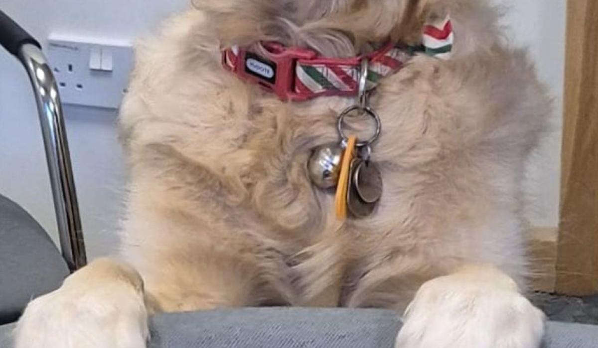 Steve Darling: Cuts to our services but we will get answers - Torbay Today