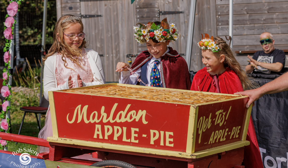Loki the Staffy steals the show at this year’s Marldon Apple Pie Fair ...