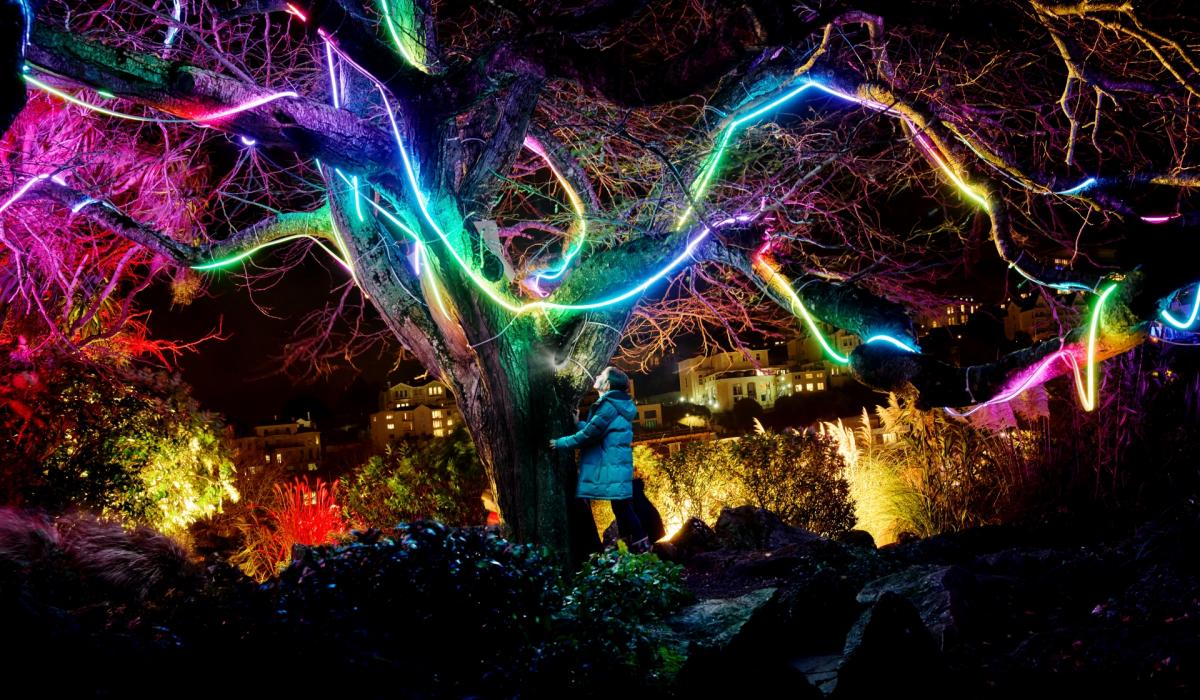 Bay of Lights 2025: Everything you need to know about the English ...