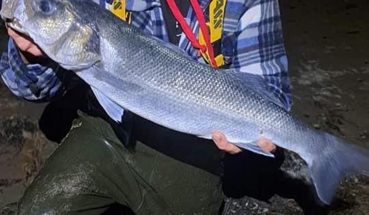 Brixham anglers find an iconic fish - Torbay Today