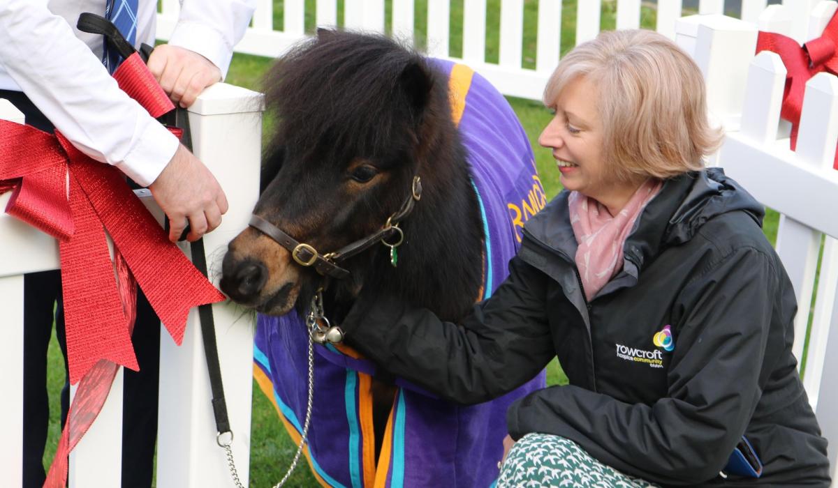 Patrick the Pony has new pen for visits to Rowcroft Hospice patients ...