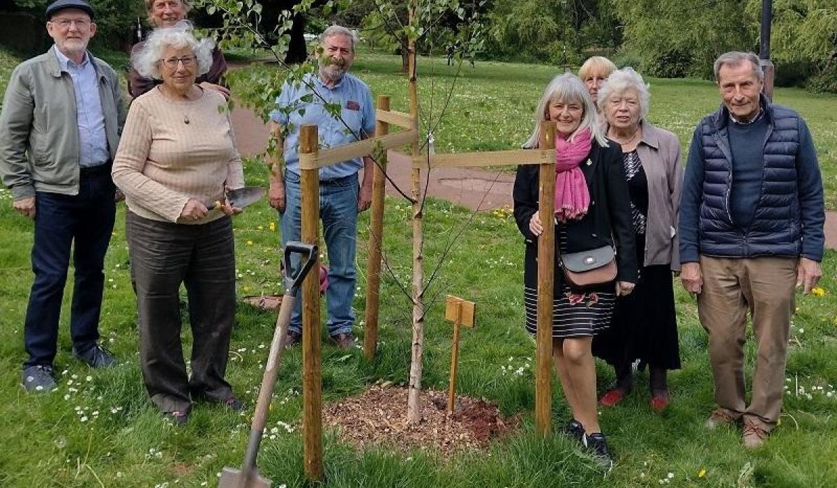 Volunteers helping to plant thousands of trees across Torbay - Torbay Today