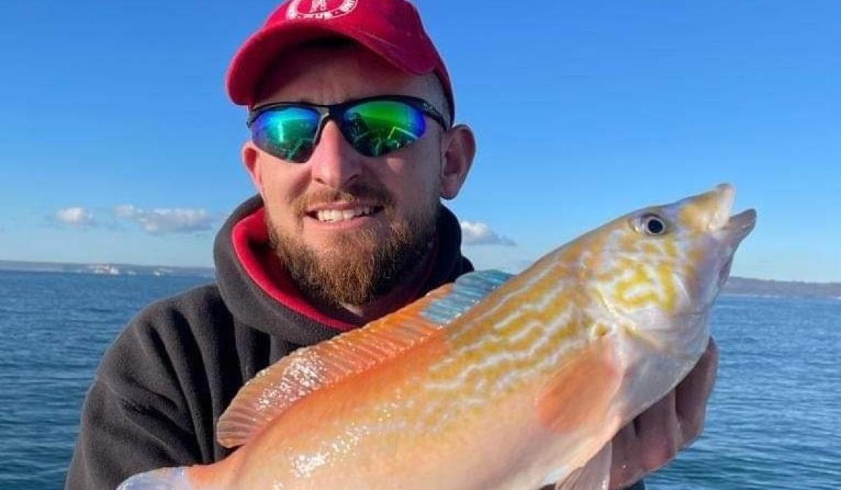 Angling duo in running for fish of month competition - Torbay Today