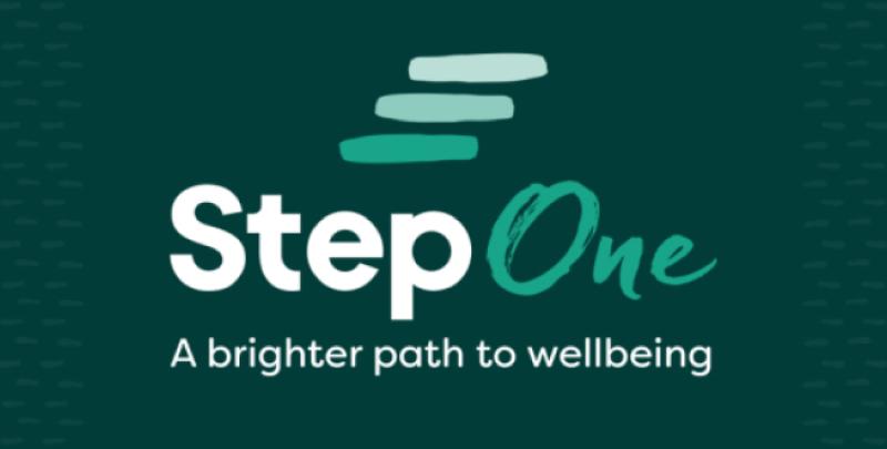 Devon mental health charity Step One reveals new look - Torbay Today