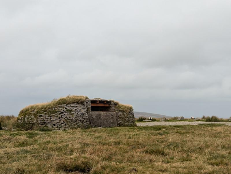 The Storyteller: How we can still hear cries of the mayor executed for stealing sheep - Torbay Today