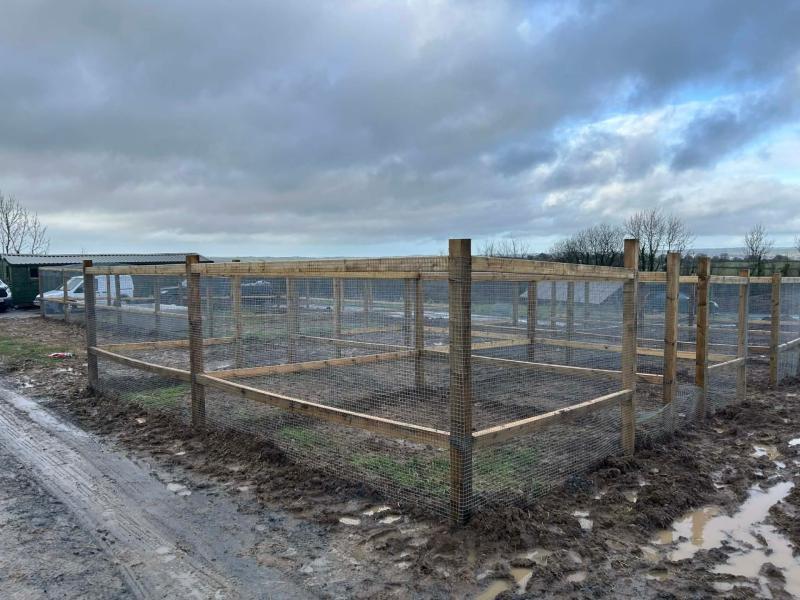 North Devon otter sanctuary rebuilds after losing former site - Torbay ...