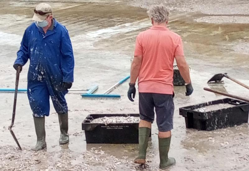 Plea for supporters to become members of Brixham's Shoalstone seawater ...