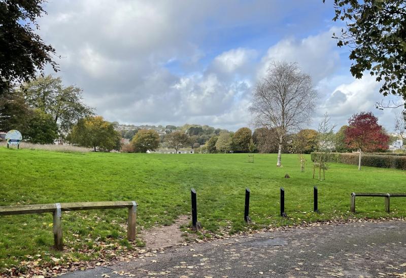 Hannah Worthington: 300 free trees for Torbay residents - Torbay Today