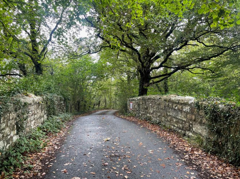 A trip to Lockbridge Tea Gardens - Photo 1 of 9 - Torbay Today