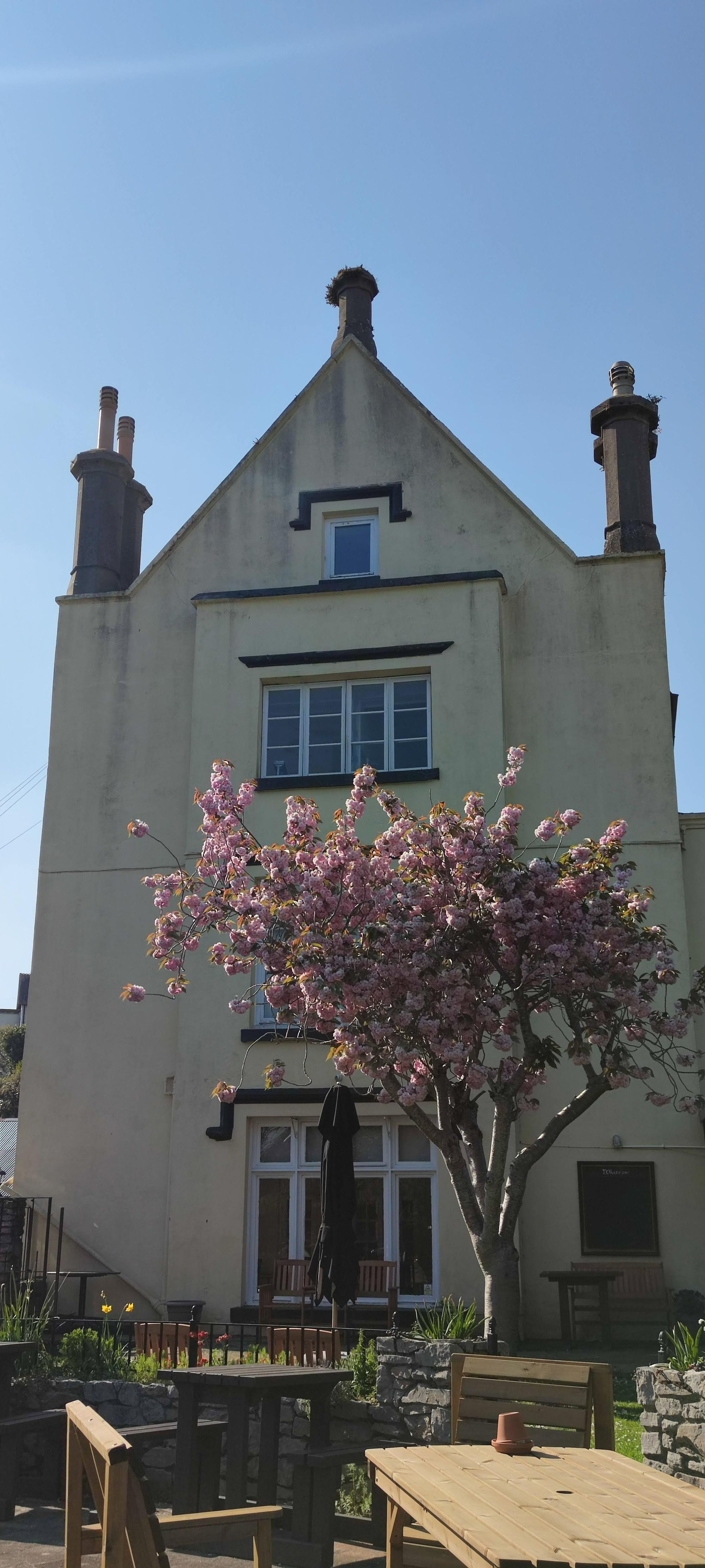 COLUMN: It's time to meet the Ghostbusters - Torbay Today