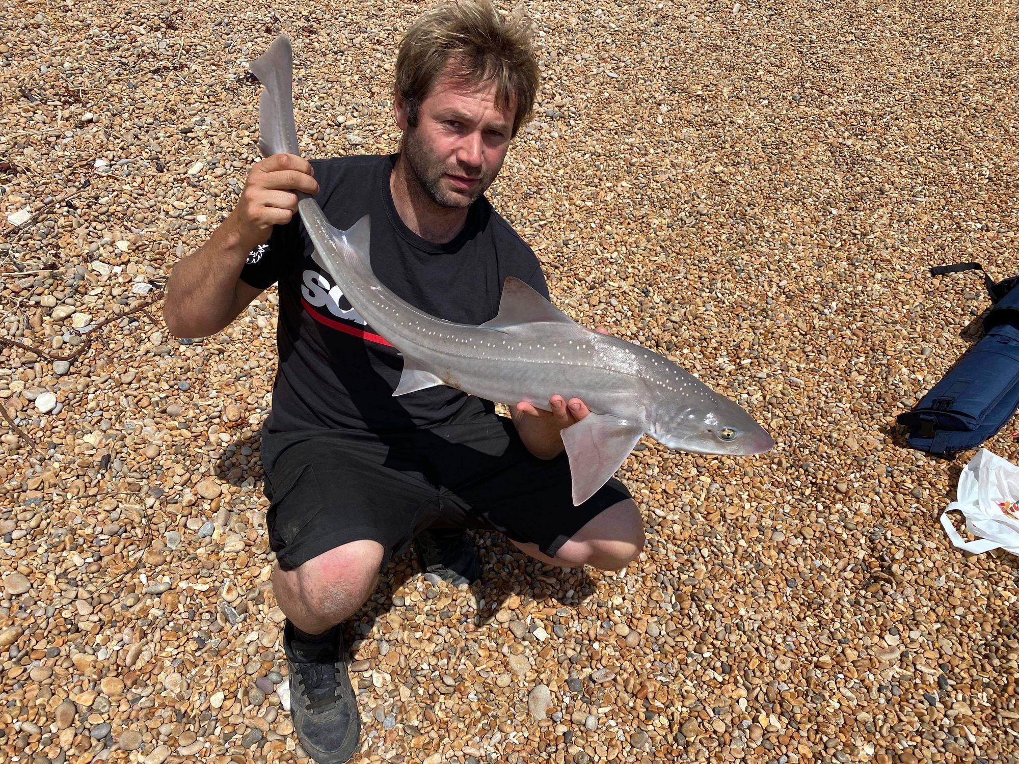 Smooth-hounds dominating the Devon fishing waters - Torbay Today