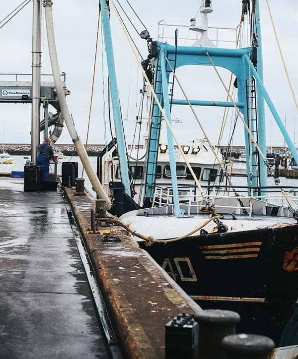 Barry Young: Encouraging signs there will be plenty of 'Brixham gold ...