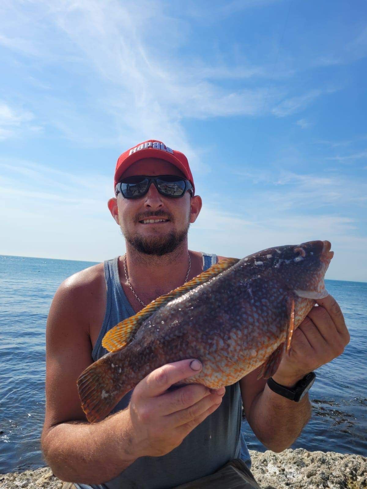 Brixham anglers find an iconic fish - Torbay Today