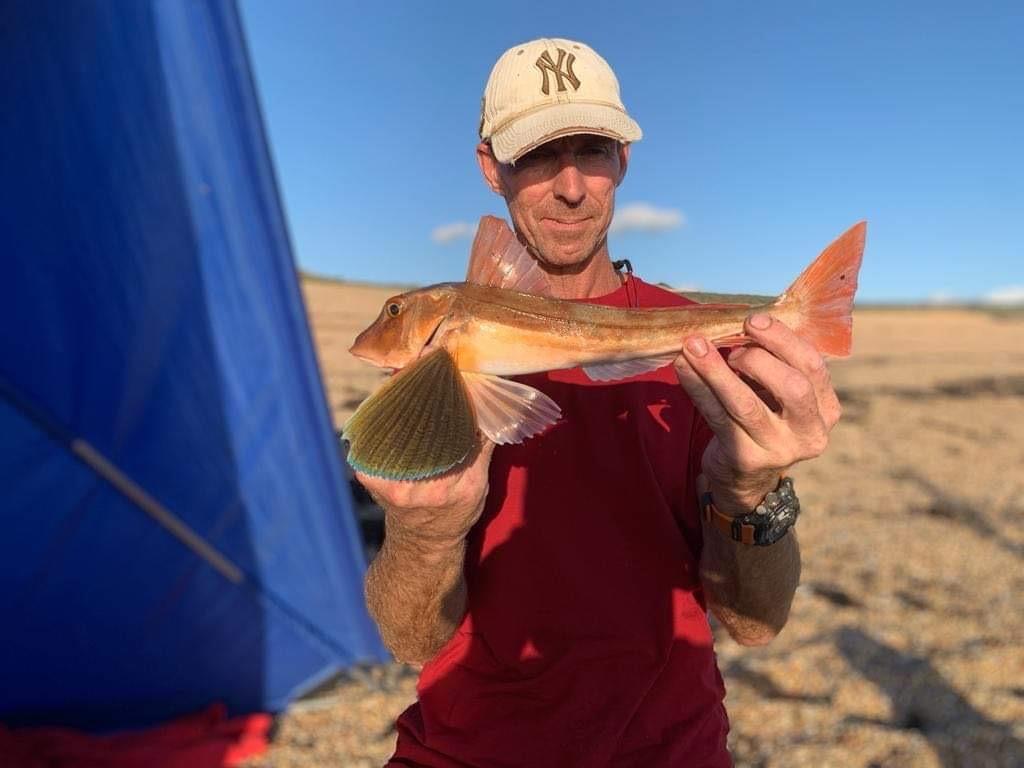 Bumper beach fishing for Devon anglers - Torbay Today