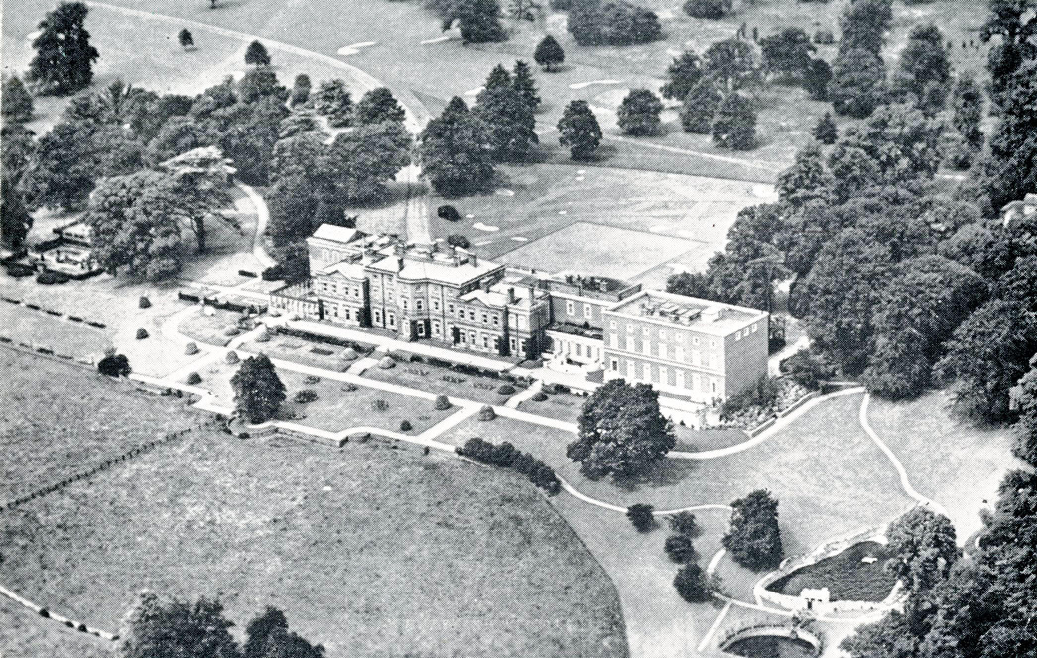 Retro Sport with Roger Mann: It's not just Sir Julien's ego that gets ...