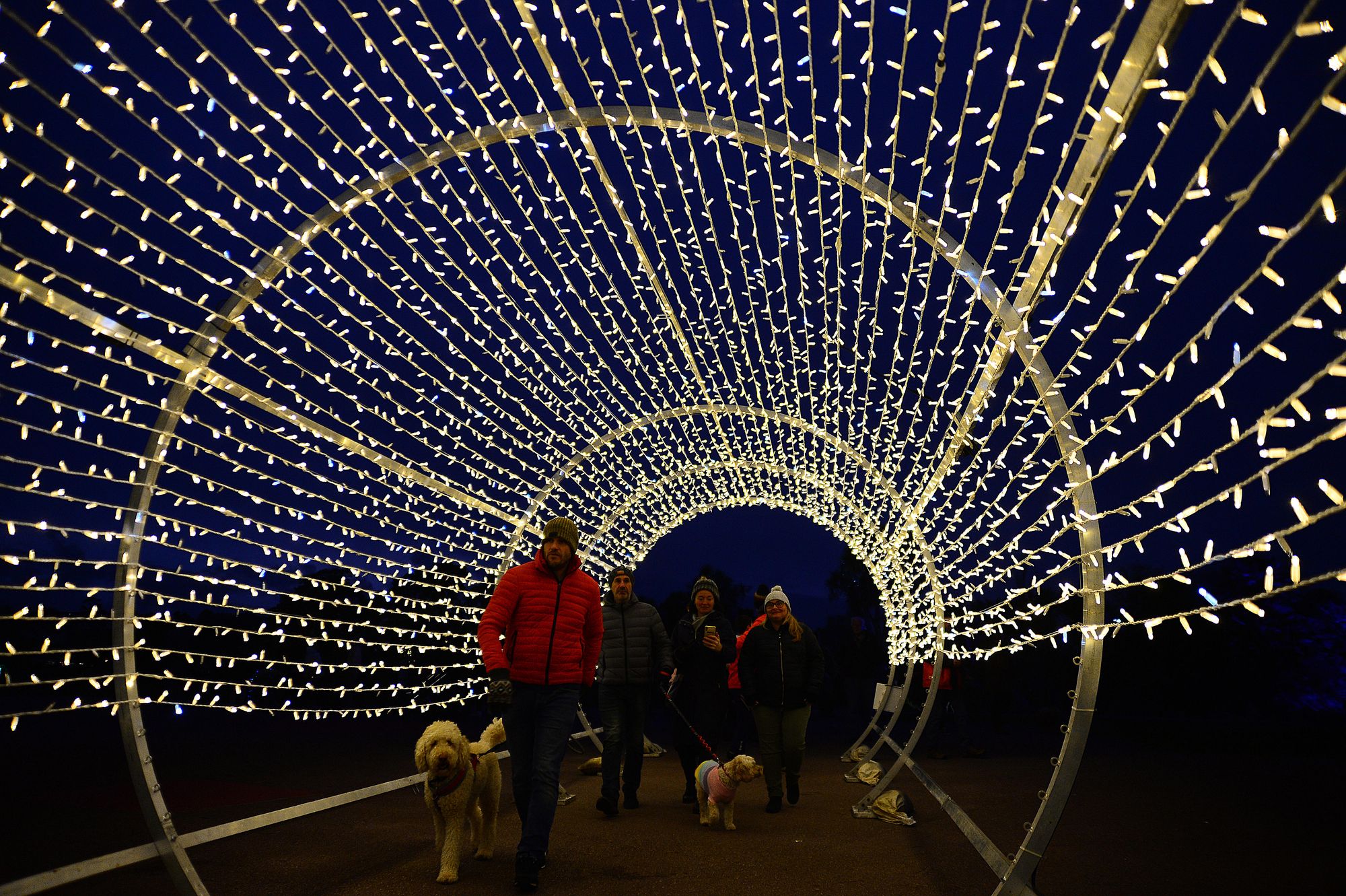 It's official - Christmas has arrived in the Bay - Torbay Today