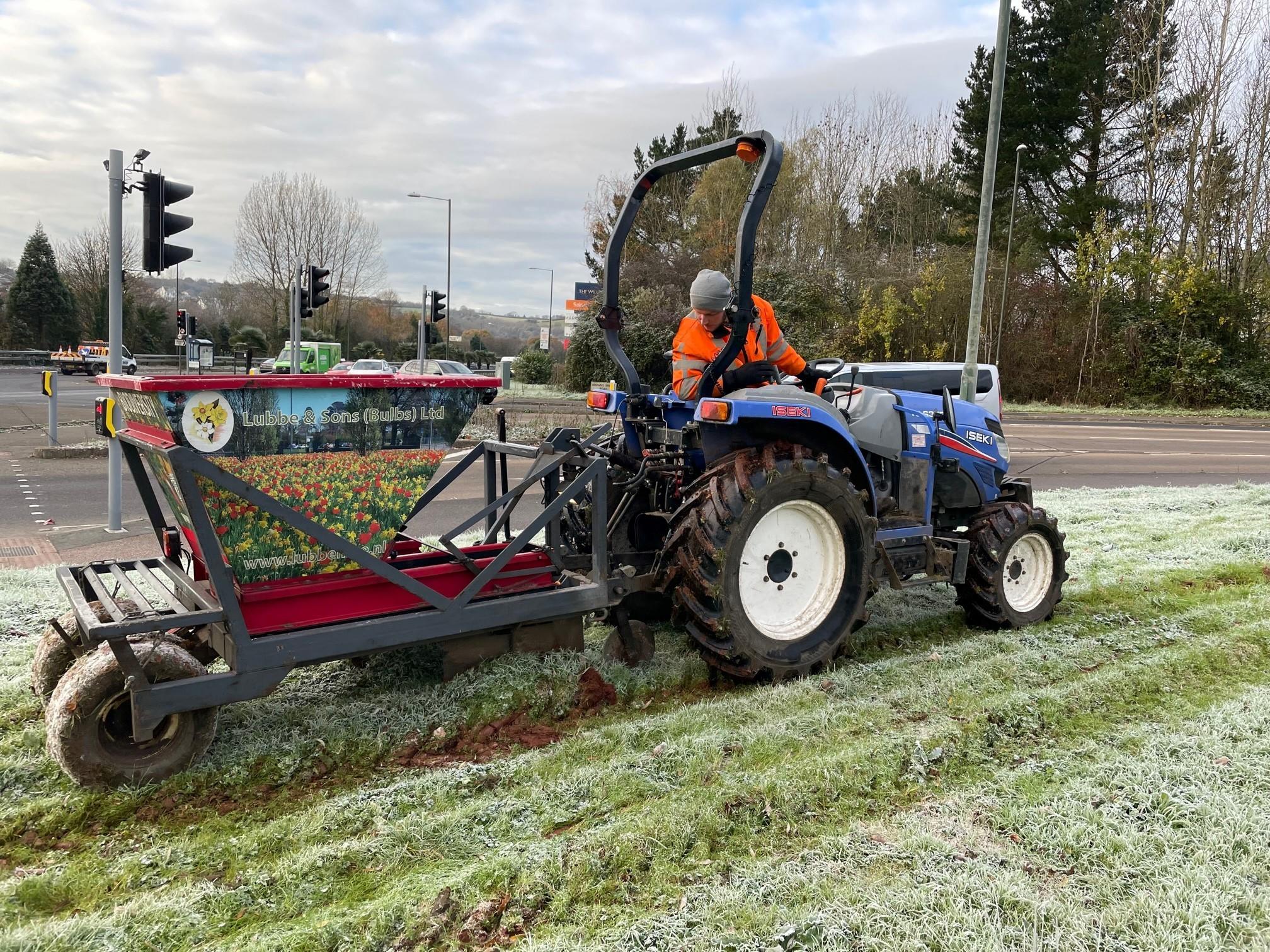 Green Spaces with Hannah Worthington: Bulbs will provide colourful ...