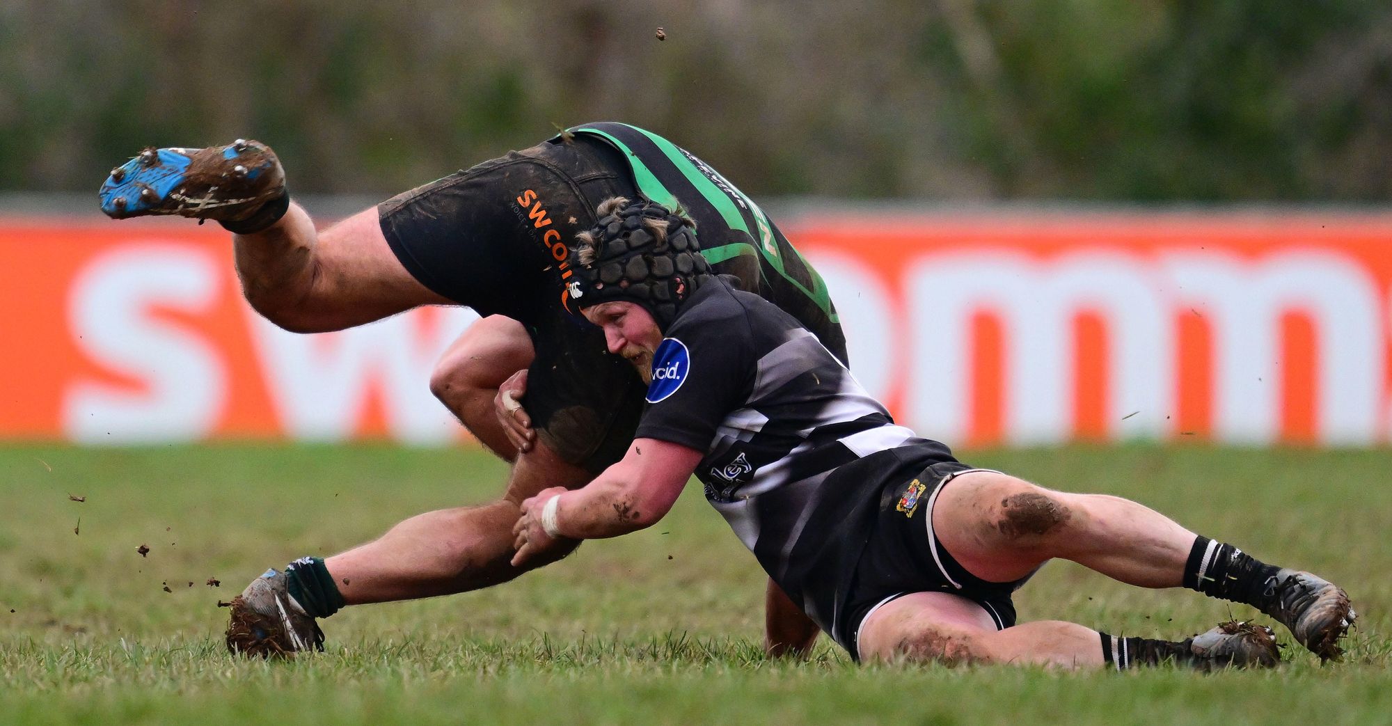 Rugby round-up: Hat-trick inspires another win for Brixham - Torbay Today